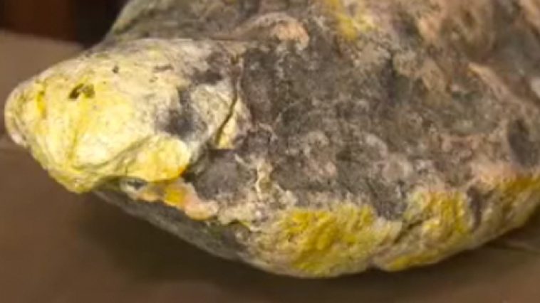 Couple Finds Whale Vomit Worth $70,000