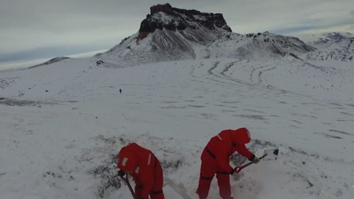70-Million Year Old Fossils Uncovered In Antarctica