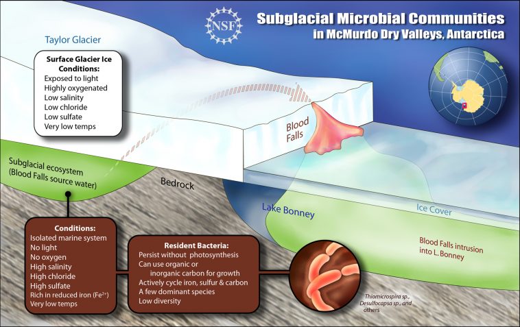 The Mystery Of Antarctica's Unusual "Blood Falls" Explained