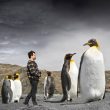 Extinct Colossus Penguin Was Nearly 7 Feet Tall