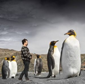 Extinct Colossus Penguin Was Nearly 7 Feet Tall