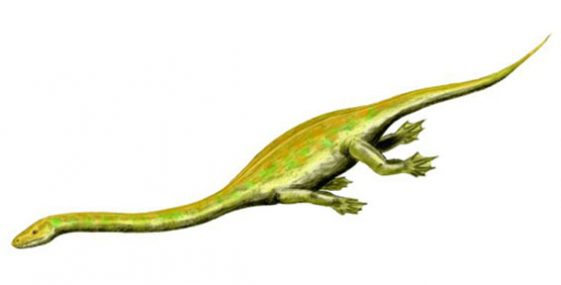 Ancient Reptile First Creature Of Its Kind To Give Birth