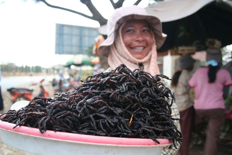 How Deep-Fried Tarantulas Became a Cambodian Delicacy