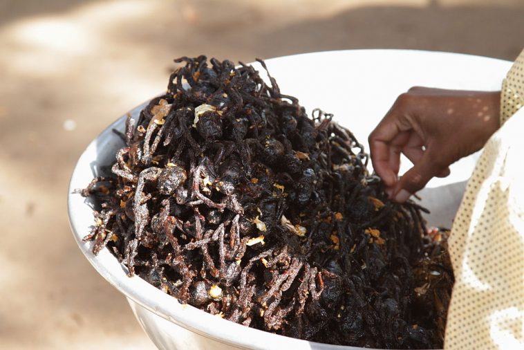 How Deep-Fried Tarantulas Became a Cambodian Delicacy
