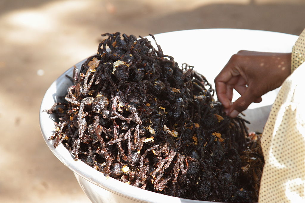 How Deep-Fried Tarantulas Became a Cambodian Delicacy