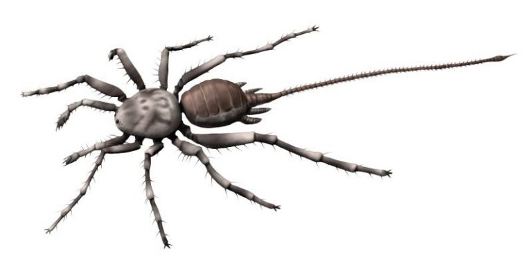 Ancient "Spider With a Tail" Arachnid Discovered Preserved in Amber